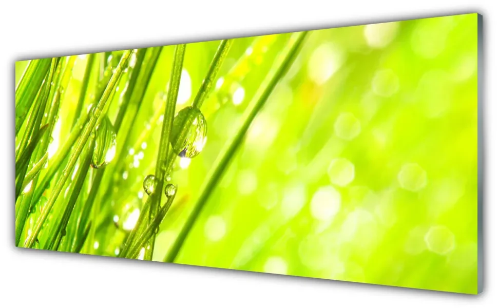 Akrilkép Nature csepp fű 120x60 cm 2 fogas | BIANO